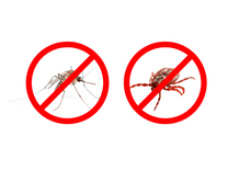 Mosquito Barrier Spray | Ecopest Store